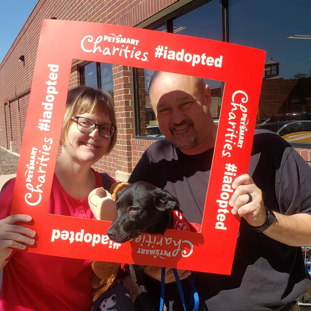 Happy PetSmart National Adoption Weekend! - A.R.F.-Animal Rescue Foundation