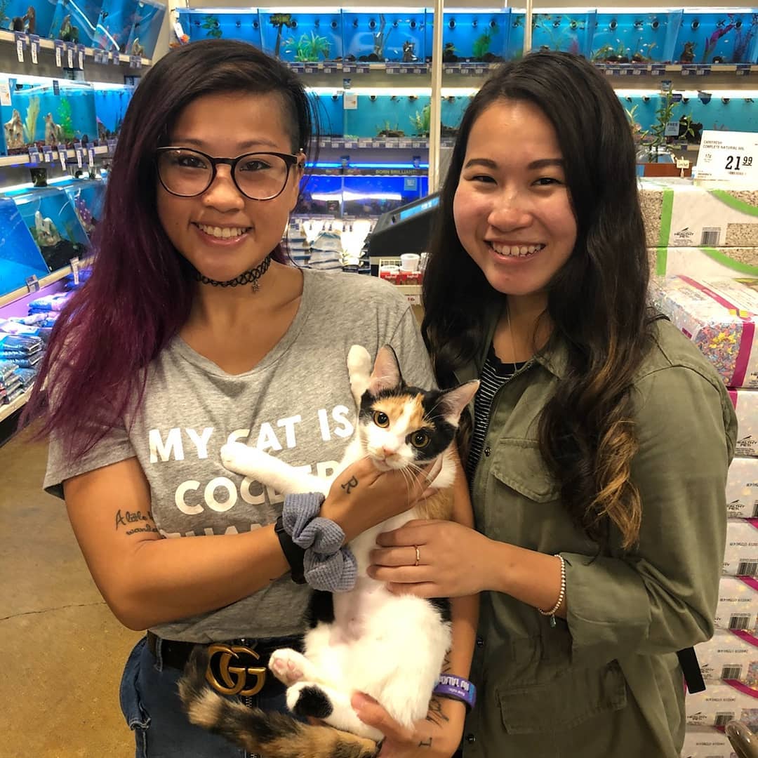 Happy PetSmart National Adoption Weekend! - A.R.F.-Animal Rescue Foundation