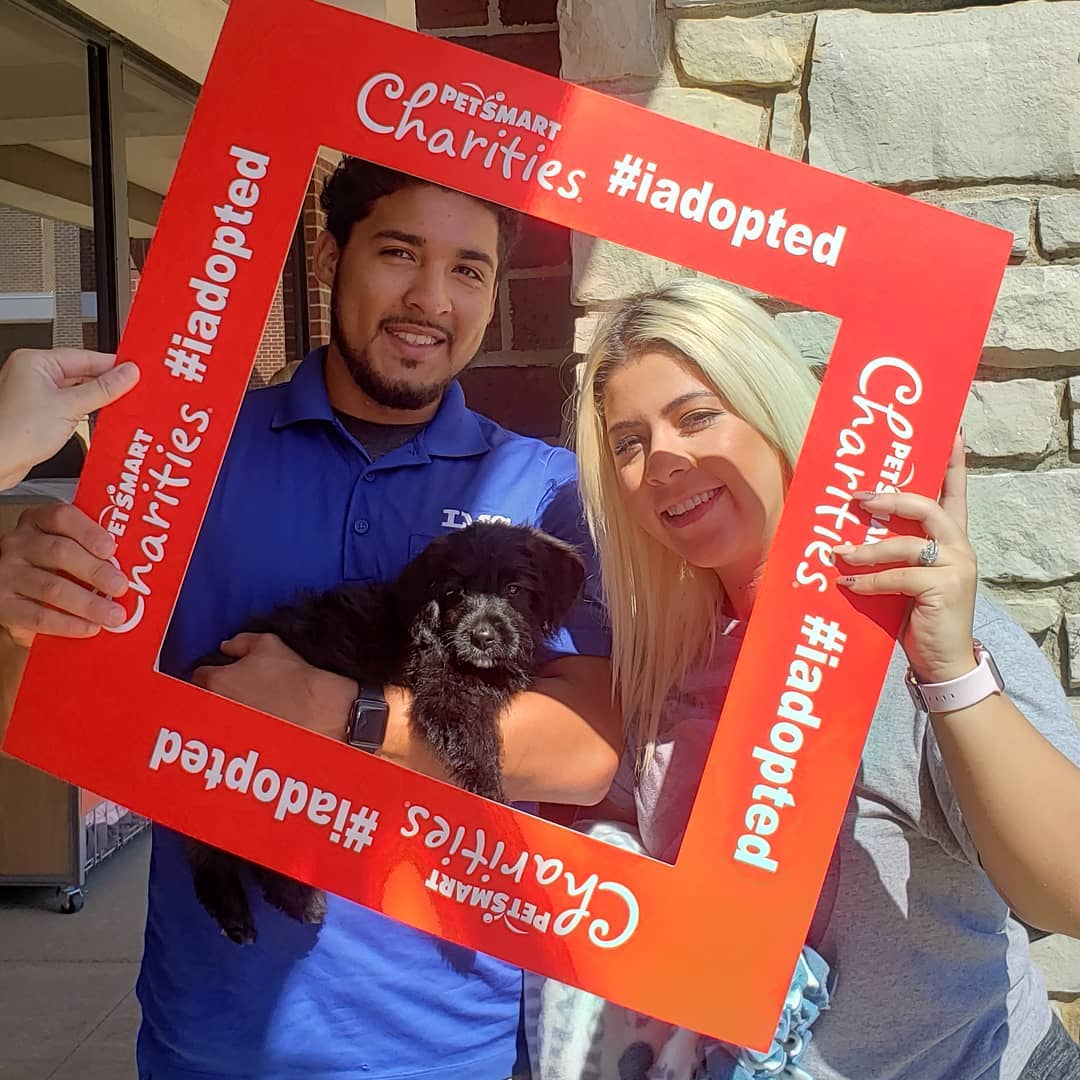 Happy PetSmart National Adoption Weekend! - A.R.F.-Animal Rescue Foundation