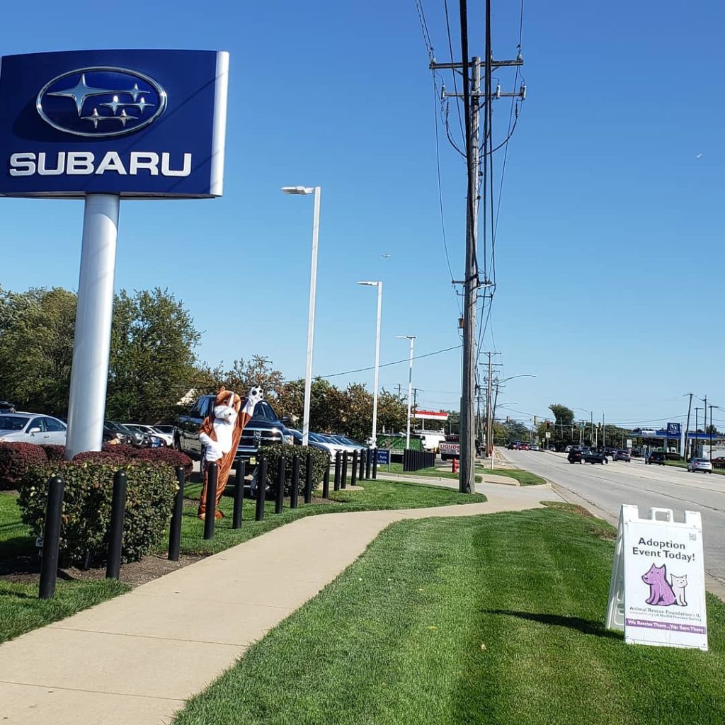 Subaru Loves Pets and We Love Subaru - A.R.F.-Animal Rescue Foundation
