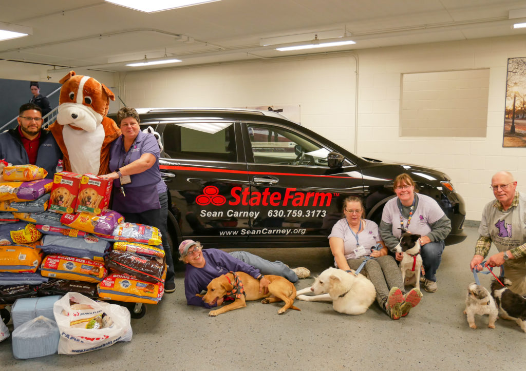 Subaru Loves Pets and We Love Subaru - A.R.F.-Animal Rescue Foundation
