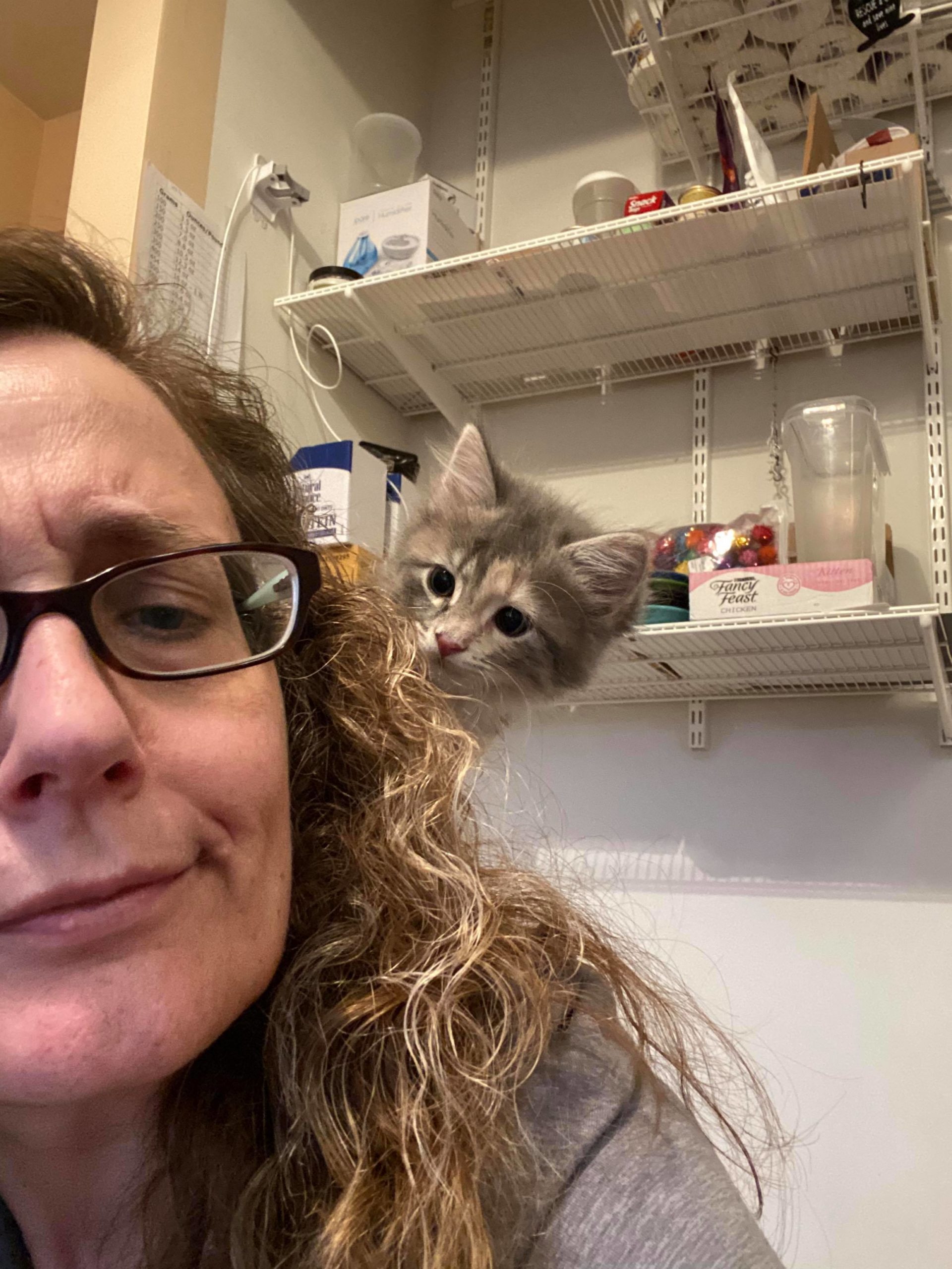 8 Years, 300 Adoptions – Cat and Kitten Fostering with Volunteer Susan ...