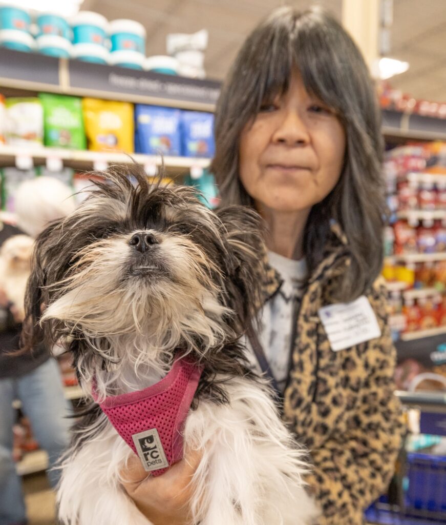 A.R.F.-Animal Rescue Foundation Home