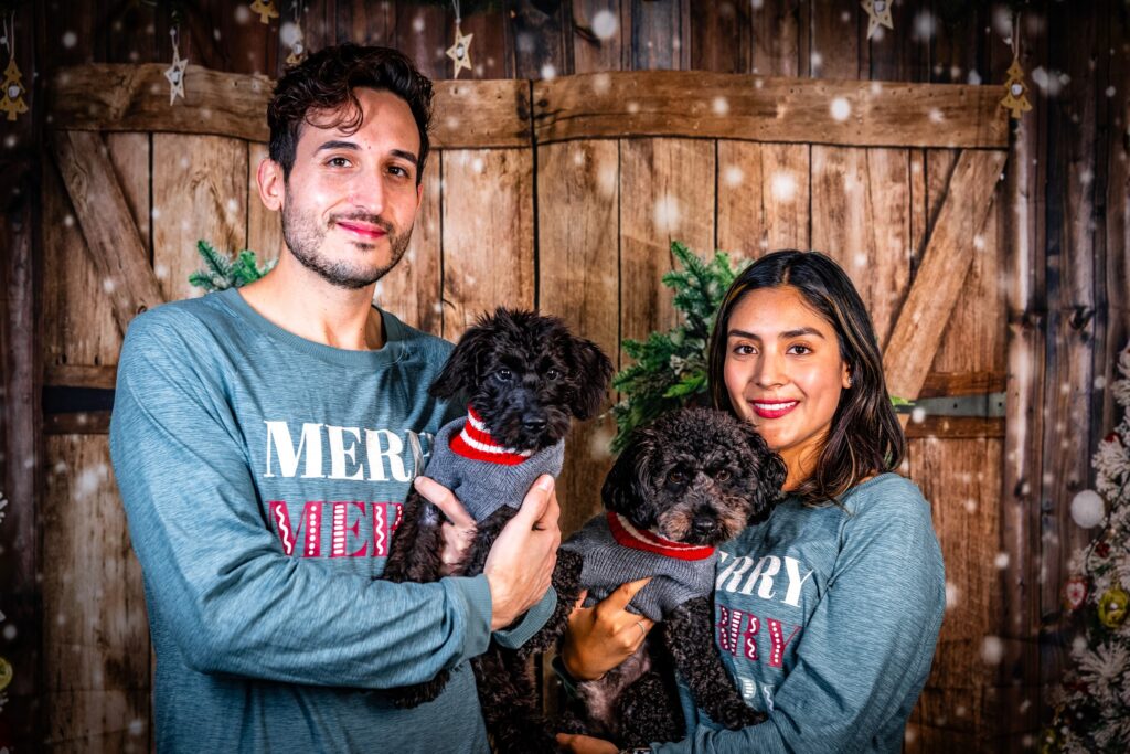 A.R.F.-Animal Rescue Foundation Home