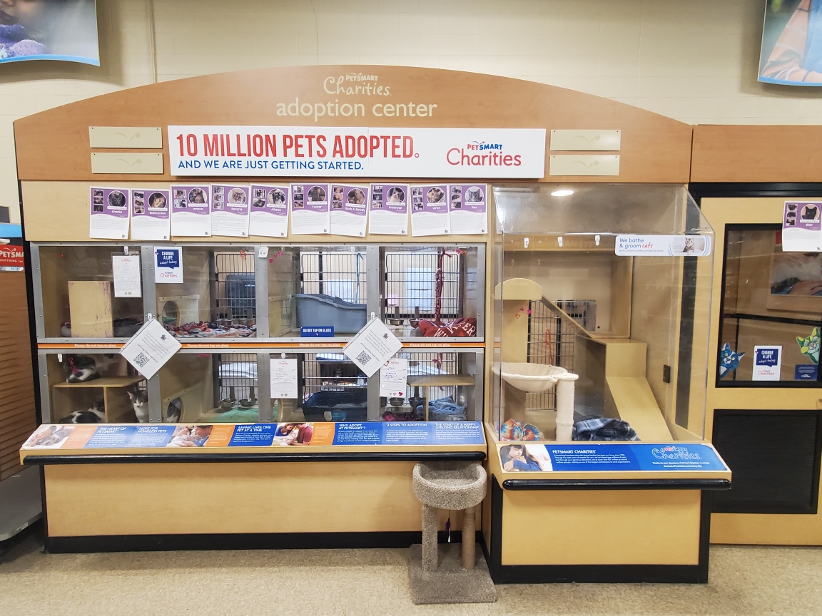 Adoption Centers - A.R.F.-Animal Rescue Foundation