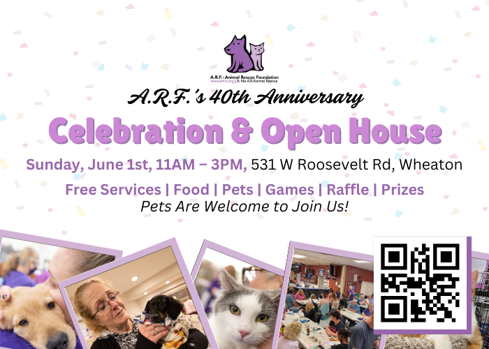 Adopt a Declawed Cat - A.R.F.-Animal Rescue Foundation